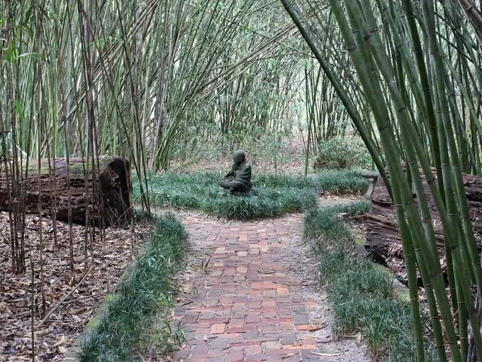 kanapaha botanical gardens 8