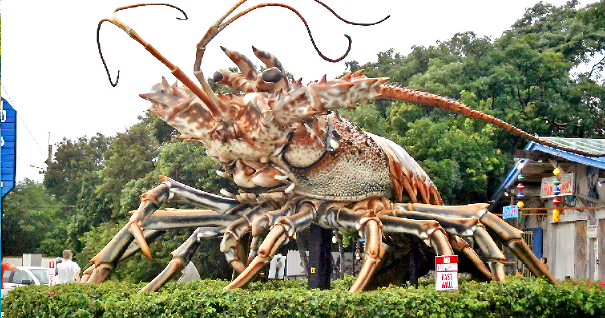 largest lobster statue florida ftr