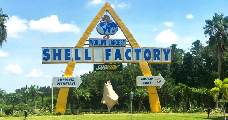largest seashell factory florida ftr