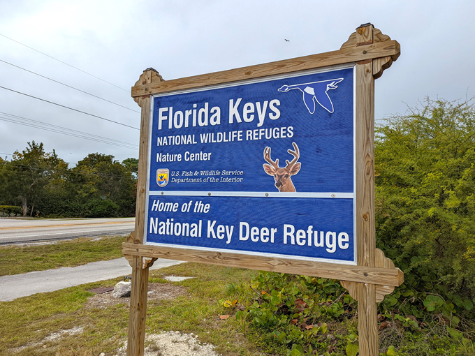 national key deer refuge 1