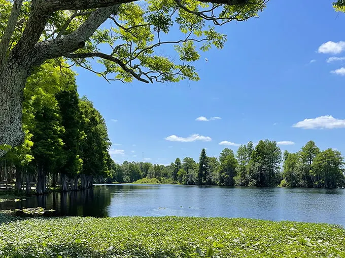 riverhills park 1