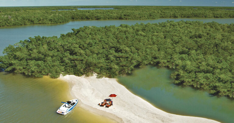 secret beaches mangrove florida ftr