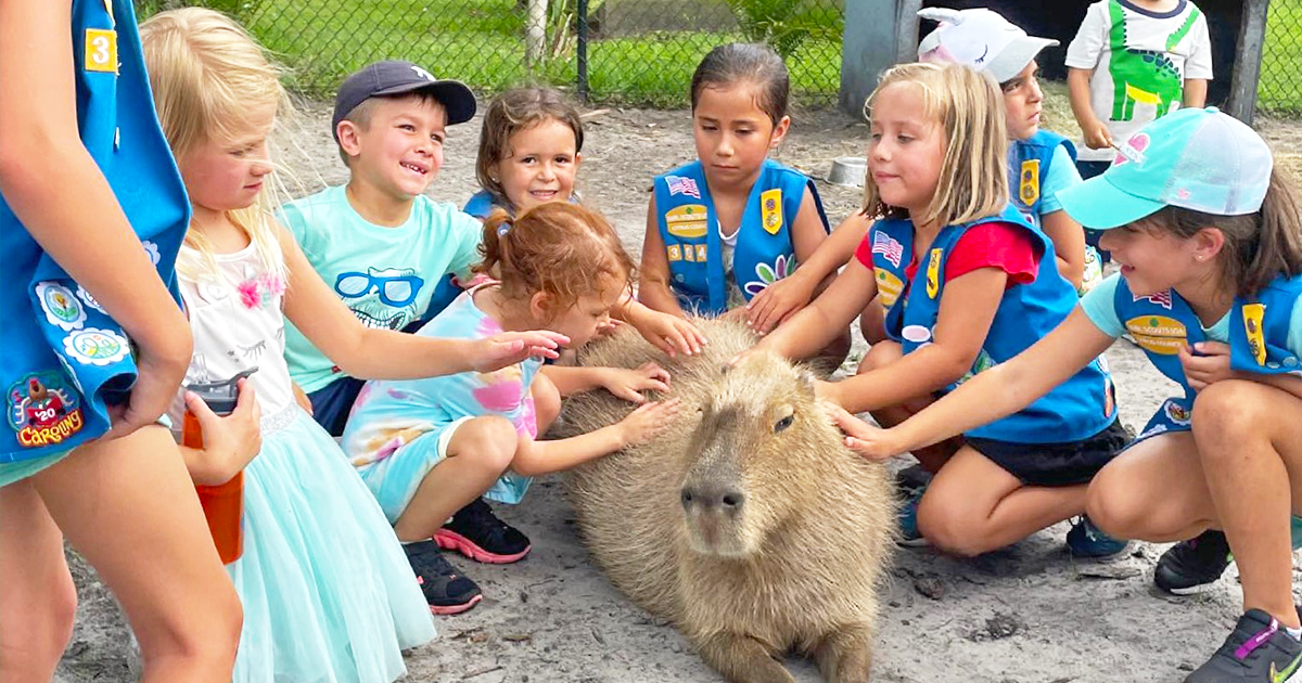 wildlife park capybara florida ftr