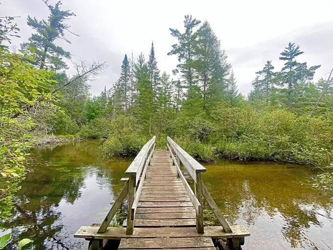 Au Sable River Trail 1