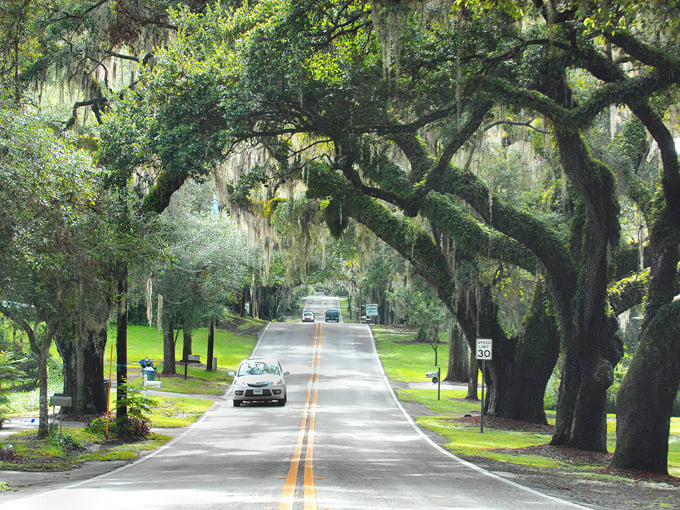 Avenue of the Oaks 2