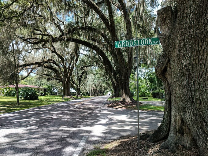 Avenue of the Oaks 7