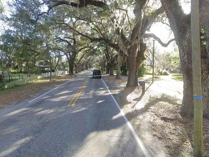 Avenue of the Oaks 9