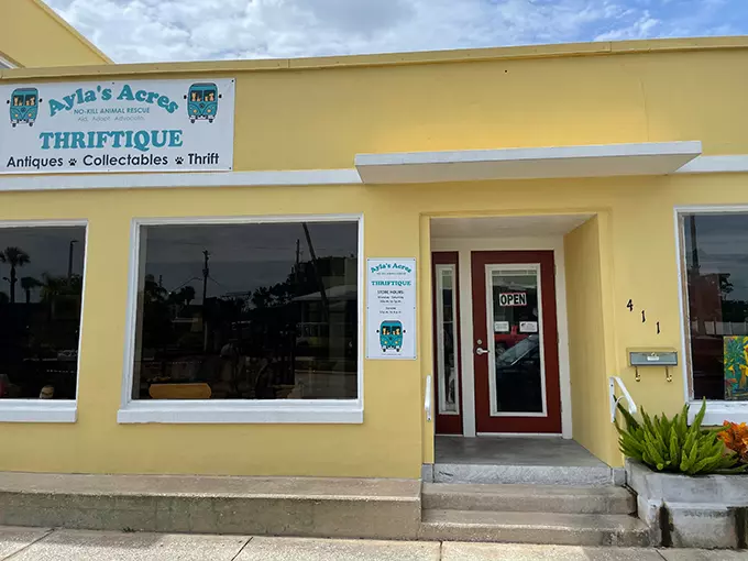 Ayla's Acres No-Kill Animal Rescue Thriftique 9