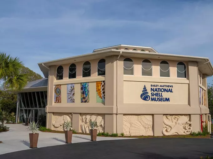 bailey matthews national shell museum 1