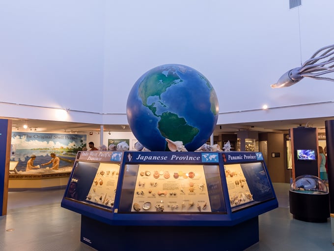 bailey matthews national shell museum 5