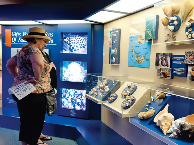 bailey matthews national shell museum 9