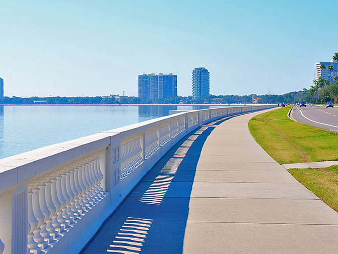 Bayshore Boulevard 1