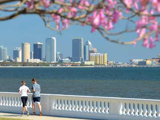 Bayshore Boulevard 3