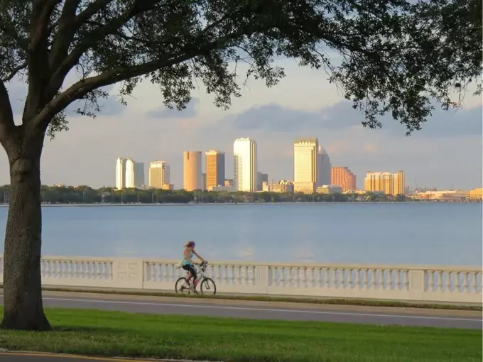 Bayshore Boulevard 4