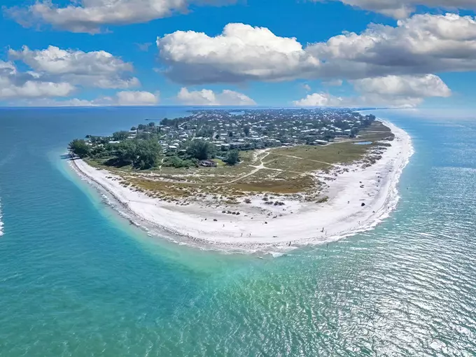 Bean Point 1