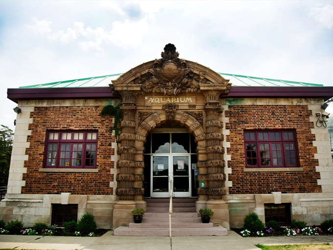 Belle Isle Aquarium 1