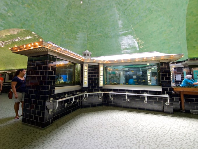 Belle Isle Aquarium 3