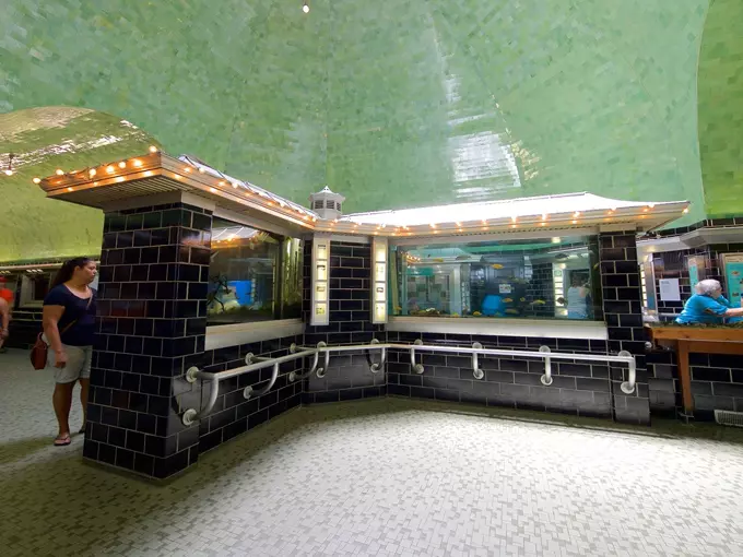 Belle Isle Aquarium 3