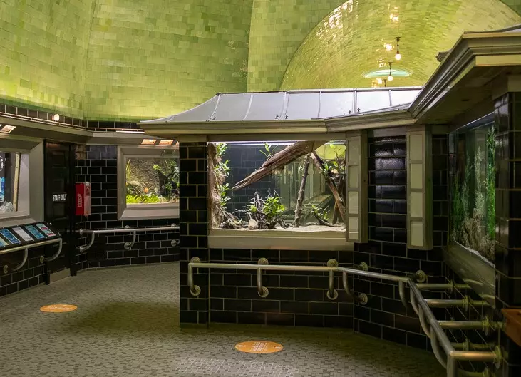Belle Isle Aquarium 6