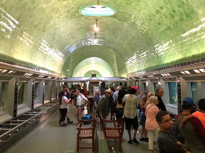 Belle Isle Aquarium 8