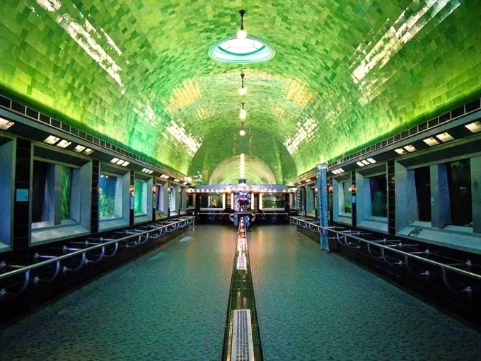 Belle Isle Aquarium 9