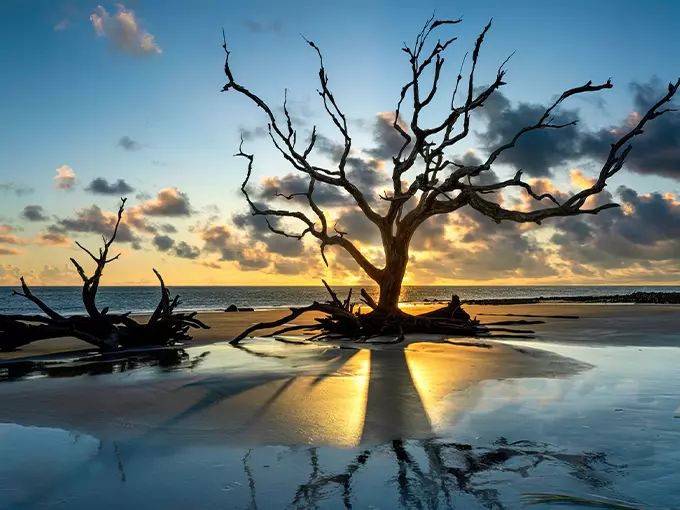 Big Talbot Island State Park 1