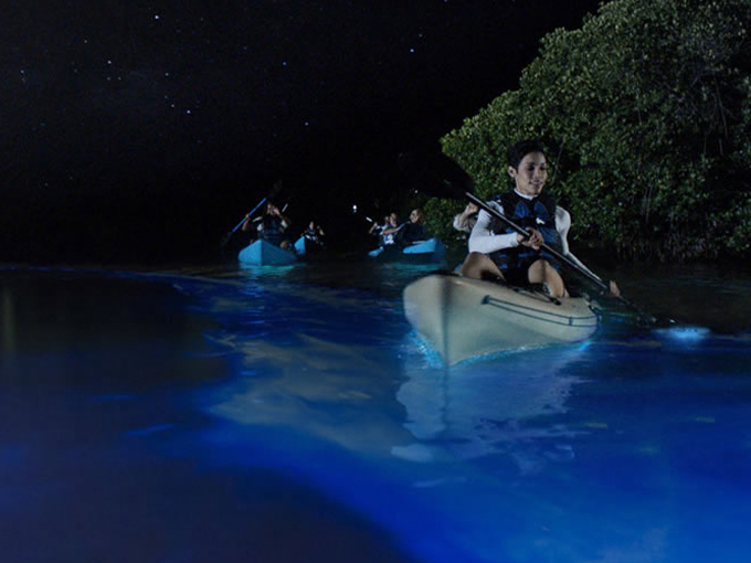 bioluminescence kayaking in cocoa beach 2