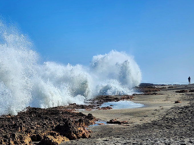 Blowing Rocks Preserve 2