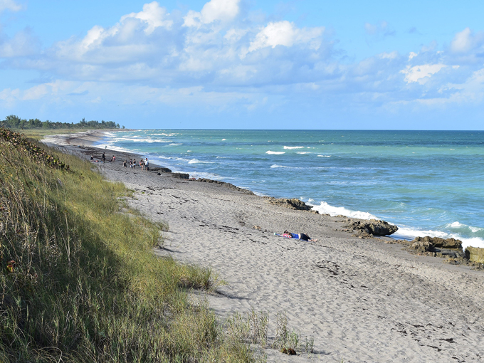 Blowing Rocks Preserve 4