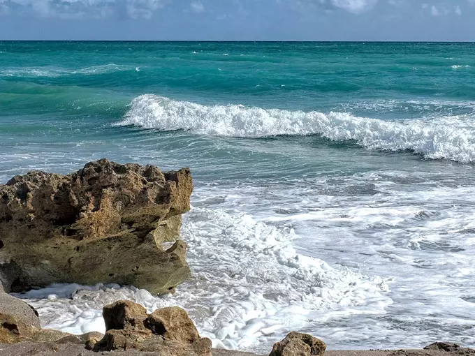 Blowing Rocks Preserve 8