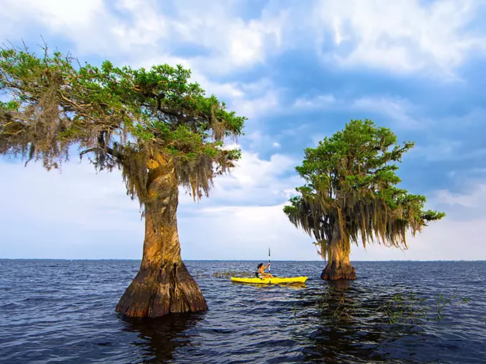 blue cypress lake 1