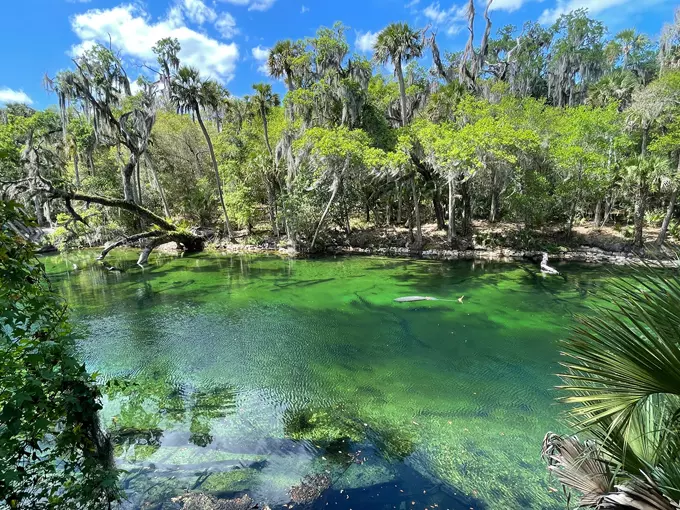 Blue Spring State Park