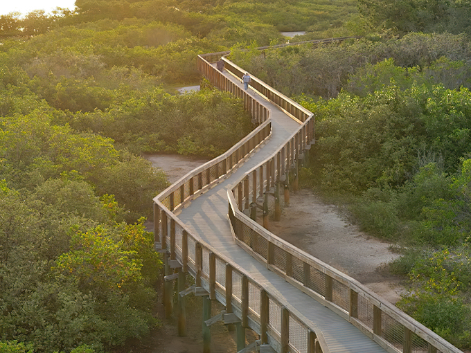 boca ciega millennium park 1