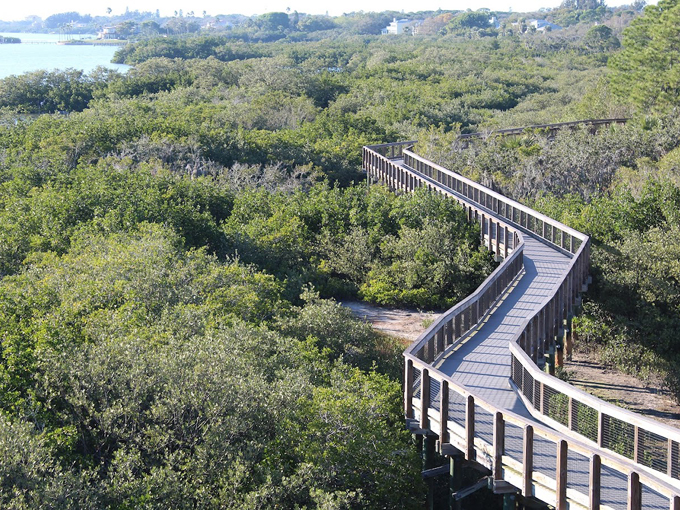 boca ciega millennium park 2