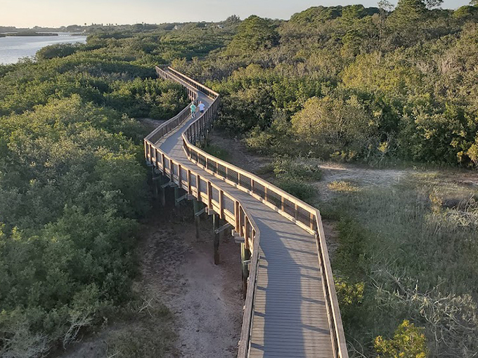 boca ciega millennium park 3