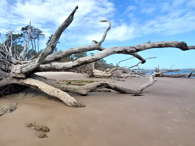 Boneyard Beach 2