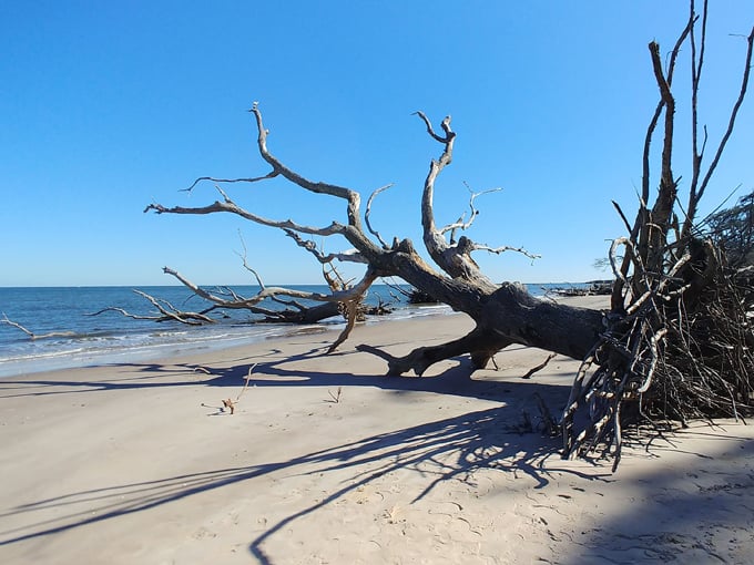 Boneyard Beach 5