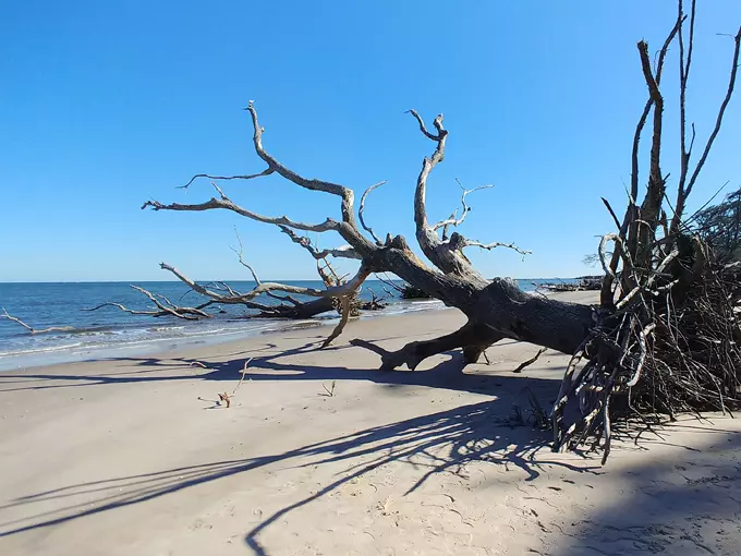 Boneyard Beach 5