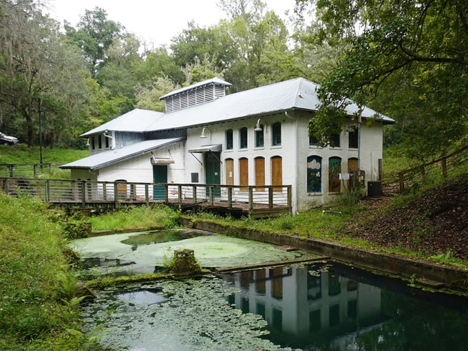 boulware springs park 4
