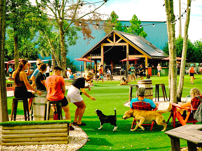 BrewHound Dog Park + Bar 1
