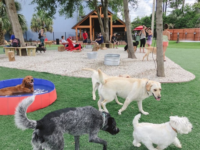 BrewHound Dog Park + Bar 9