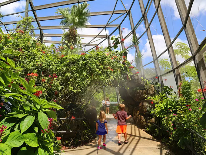 butterfly world coconut creek