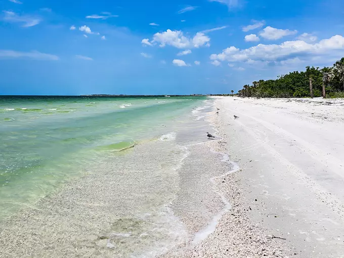 Caladesi Island State Park 3