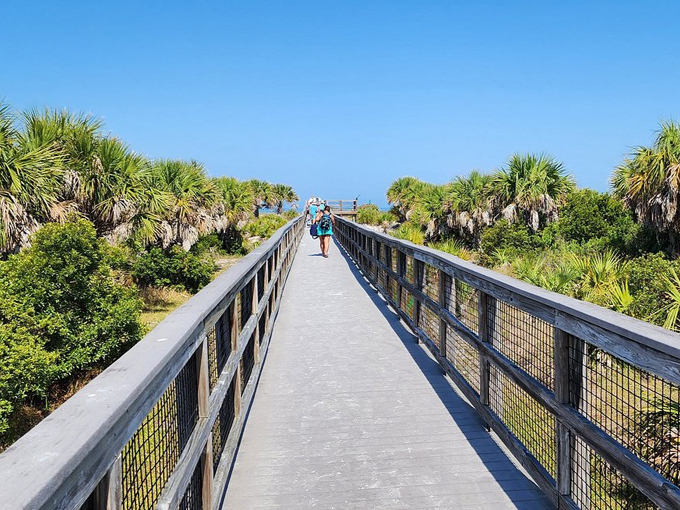 Caladesi Island State Park 6