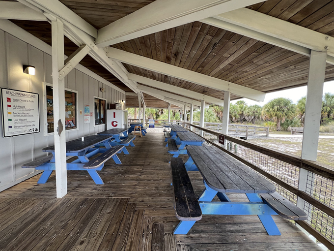 Caladesi Island State Park 8