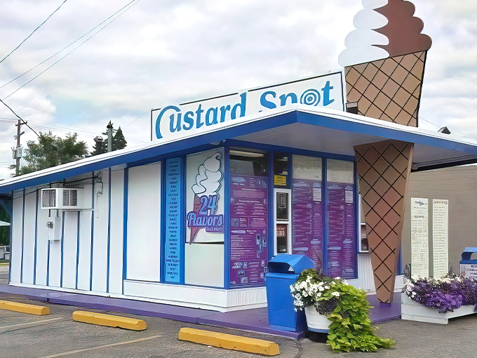 Custard Spot 1