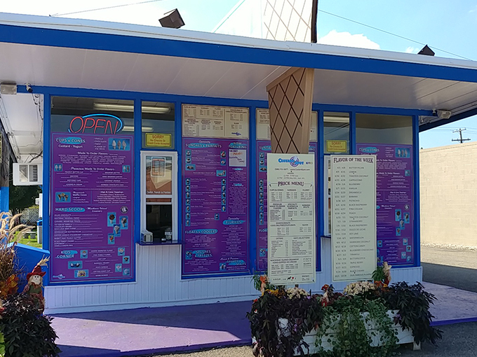 Custard Spot 2