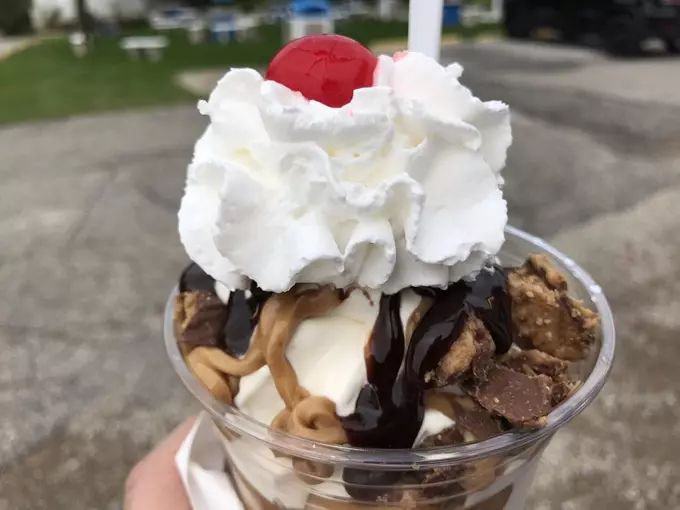 Custard Spot 7