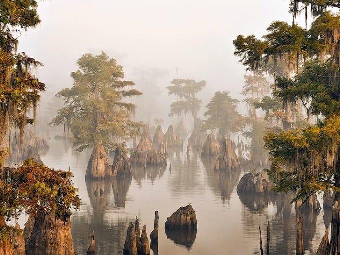 dead lakes 1
