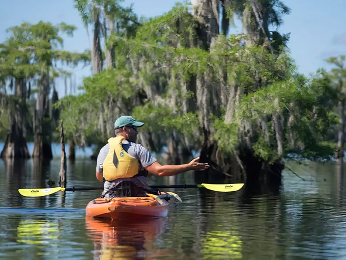 dead lakes 4